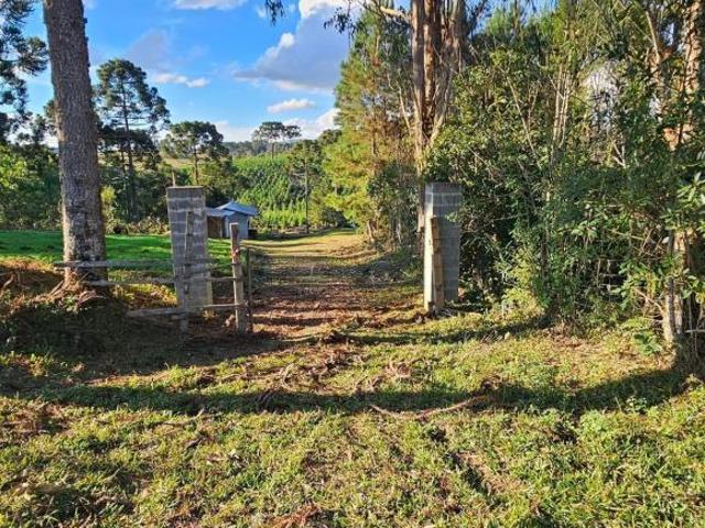Chácara à venda com 9.200m², Postinho, TIJUCAS DO SUL PR
