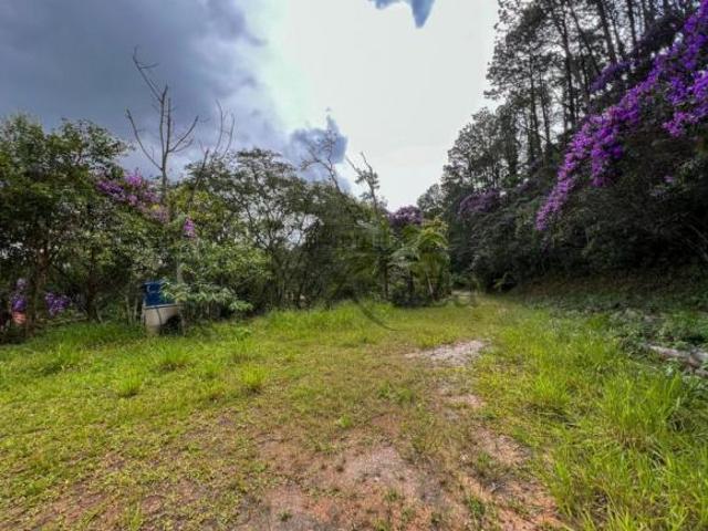 Chácara a venda Condomínio Recando dos Pinheirais Bairro Torrão de Ouro 11.106 m²