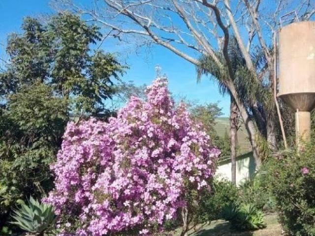 Chácara à Venda Agudo, Bragança Paulista 9.070m2 5 Quartos