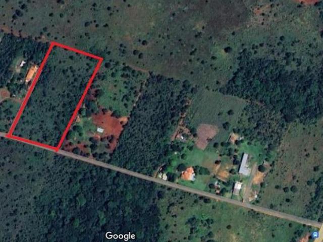 CHÁCARA À VENDA ÀS MARGENS DA DF 140 20.000m²