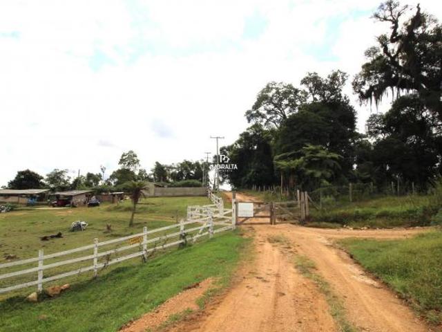 Chácara à venda Bairro Contenda em São José dos Pinhais