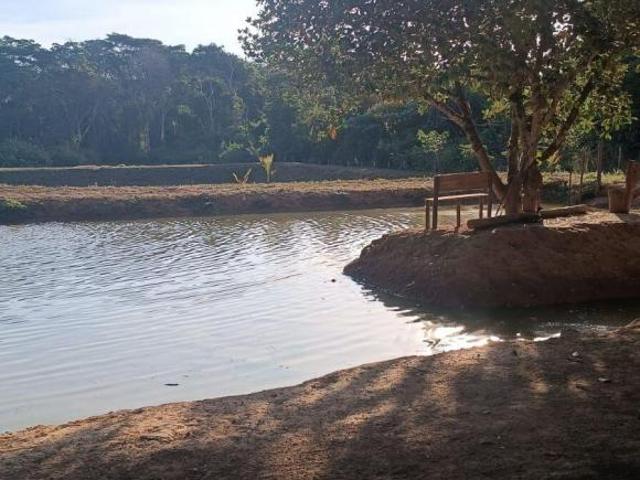 CHÁCARA À VENDA – BELA VISTA DE GOIÁS, 10.000m², RICA EM ÁGUA