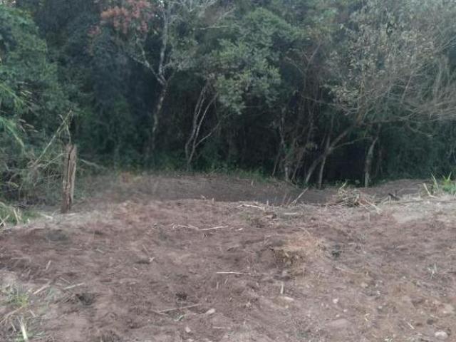 Chácara à venda, Graminha Limeira/SP