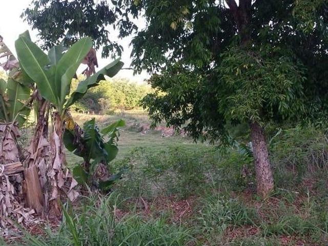 Chácara à venda Granjas Rurais Reunidas São Judas Tadeu, Taubaté SP