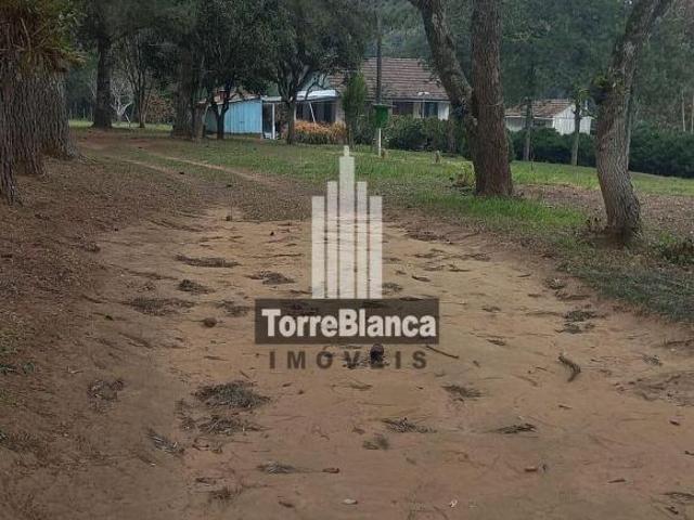 Chácara à Venda, Guaragi, Ponta Grossa, PR