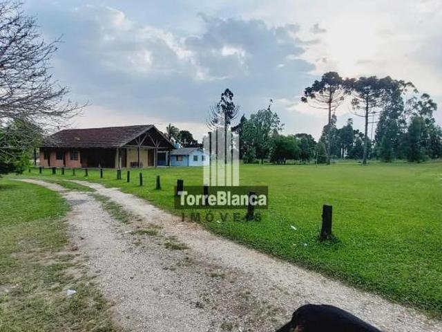 Chácara à venda, do lado da Rodovia 277, Zona Rural, Palmeira, PR
