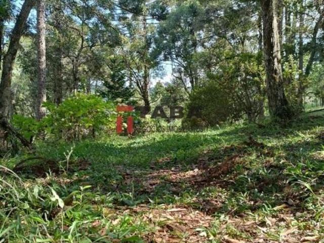 Chácara a venda em Colombo Roseira