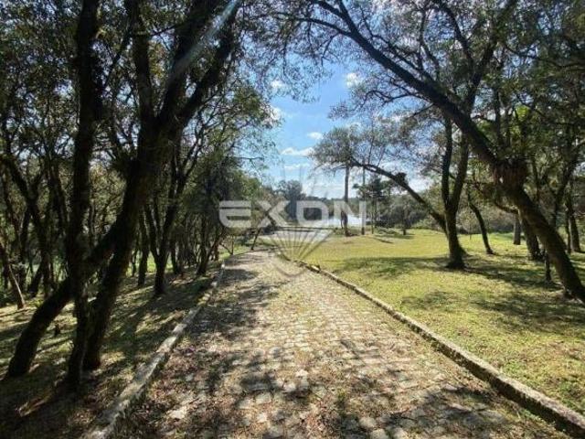 Chácara à Venda em Contenda São José dos Pinhais