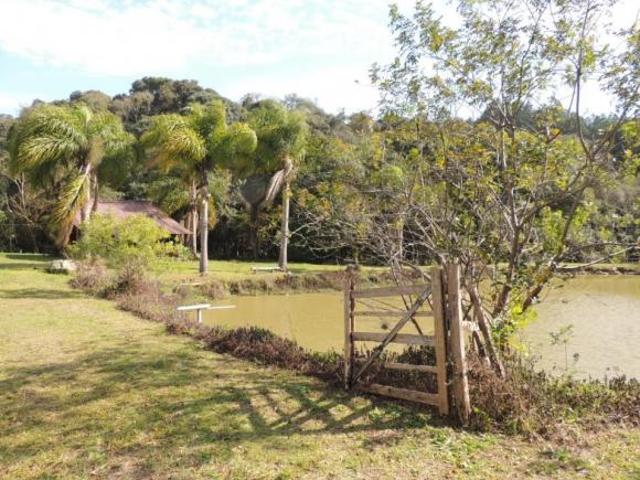 CHÁCARA À VENDA EM CONTENDA PR ÁREA 30.171,00M2