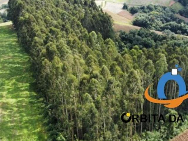 Chácara à venda em Contenda PR, bairro com 24.000m² de área: sua oportunidade de viver em contato co