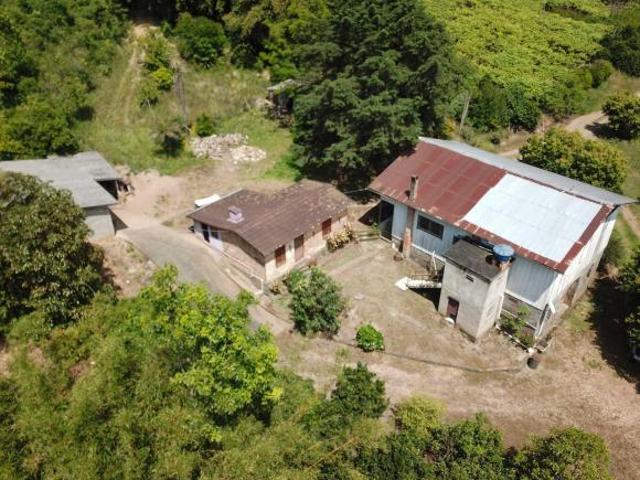 Chácara à venda em Caxias do Sul, Centro, 20000m²
