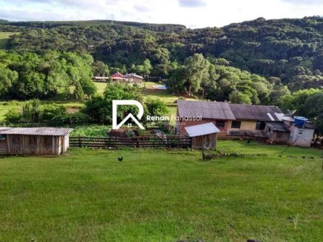 Chácara à venda em Caxias do Sul, Fazenda Souza, com 3 quartos, 30.000m²m²