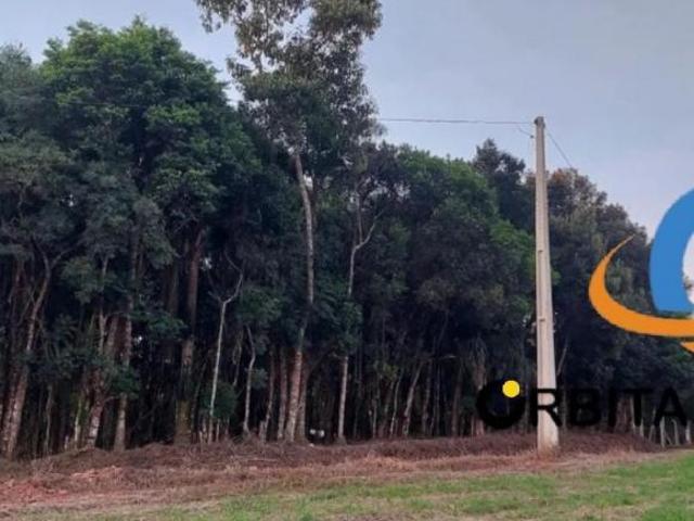 Chácara à venda em Campo Largo PR, Loteamento Itaboa: 3.364,00 m² de área!