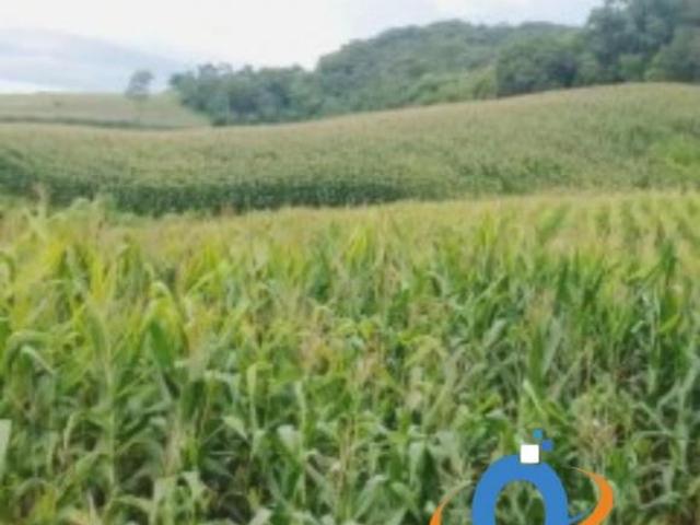 Chácara à venda em Campo Magro PR, Barra de Santa Rita 35.000 m² de área!