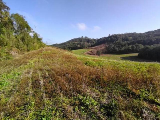 Chácara à venda em Campo Novo