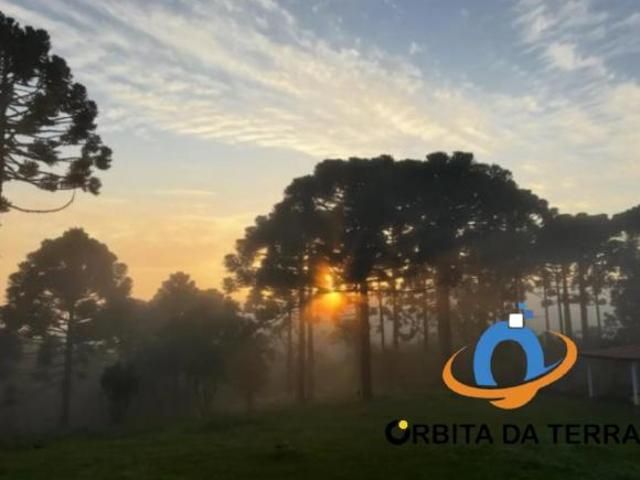Chácara à venda em Campina Grande do Sul PR, bairro Campina Grande do Sul, com 200m² de área!