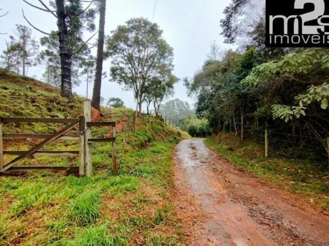 Chácara à venda em Cunha SP, bairro Taboão, com 20.000 m² de área: sua oportunidade de viver em harm