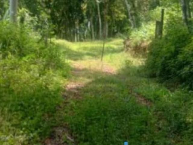 Chácara à venda em Antonina PR, bairro São Joãozinho Feliz: natureza exuberante e tranquilidade abso