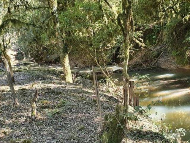 Chácara à venda em Água Amarela Antônio Olinto/PR