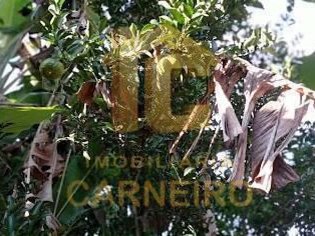 Chácara à venda em Baratinha Antônio Dias