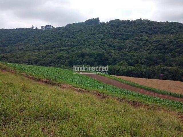 Chácara à Venda em Gleba 01, Tamarana PR