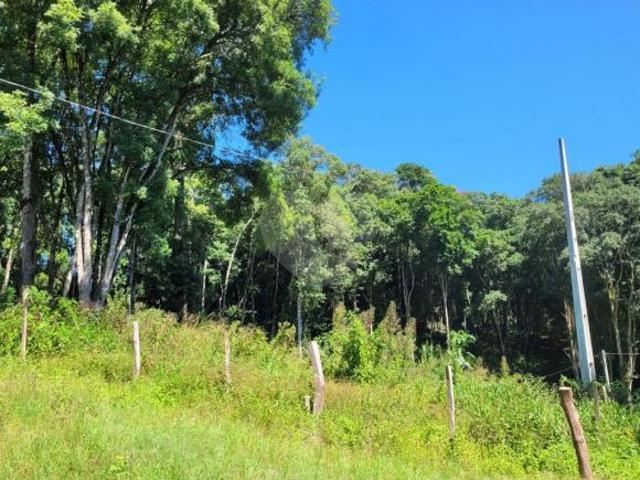 Chácara à venda em Espigão das antas PR