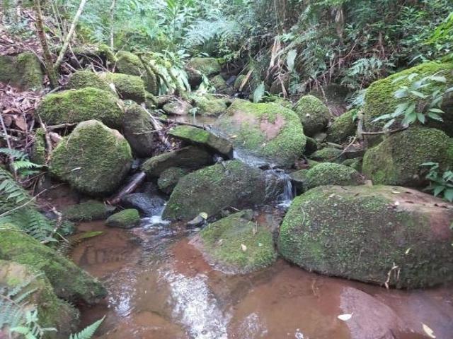 CHÁCARA À VENDA EM EXTREMA MG