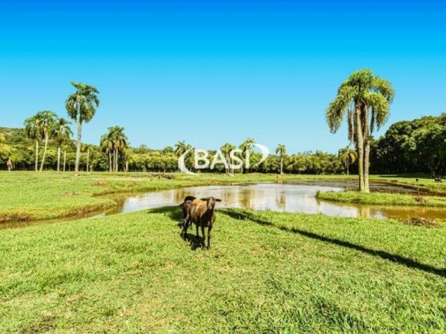 Chacara a Venda em Ferraria Campo Largo [ESTUDA PERMUTA EM ATE 50% DO VALOR]