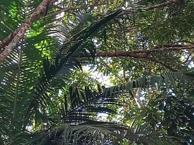 Chacara a venda em Itanhaém