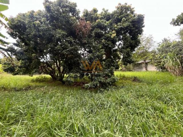 Chácara à venda em Mogi das Cruzes | 2 dorms | 7.000m²