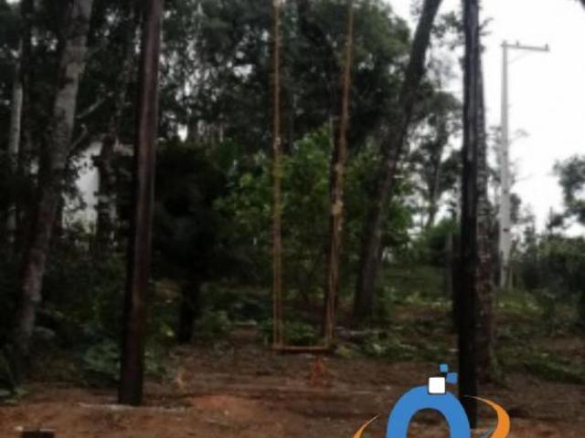 Chácara à venda em Mandirituba PR, 3000,00 m² de área: a oportunidade que você estava procurando!