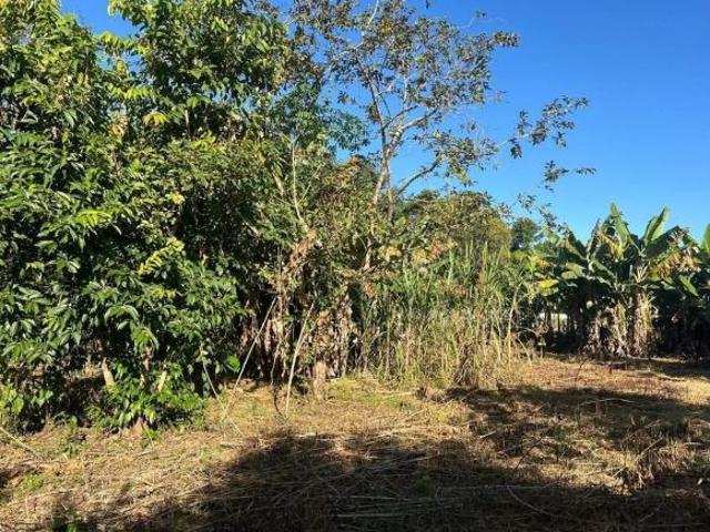 Chácara à venda em Mariana Bandeirantes