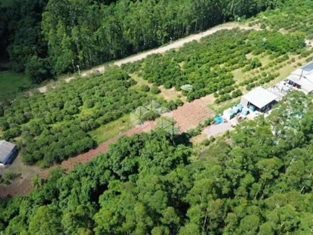 Chácara à venda em São José do Hortêncio 3 hectares com pomar de laranjas