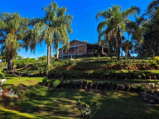 Chácara à Venda em São José dos Pinhais