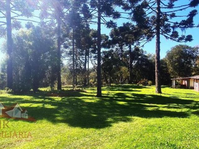 Chácara à Venda em São José dos Pinhais
