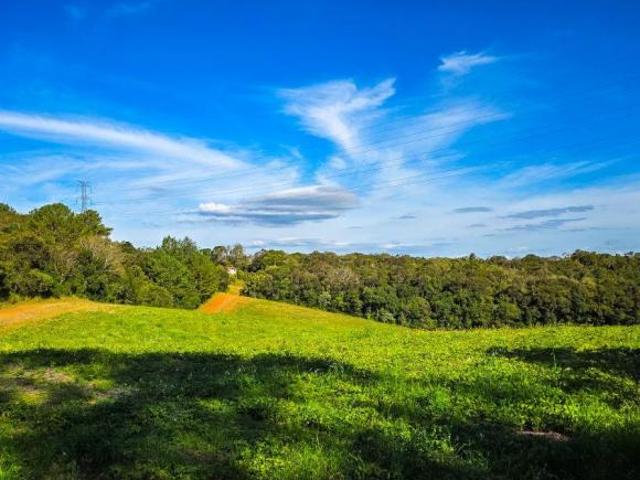 Chácara à Venda em São José dos Pinhais