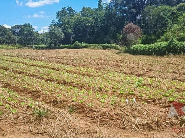 Chácara à Venda em São José dos Pinhais