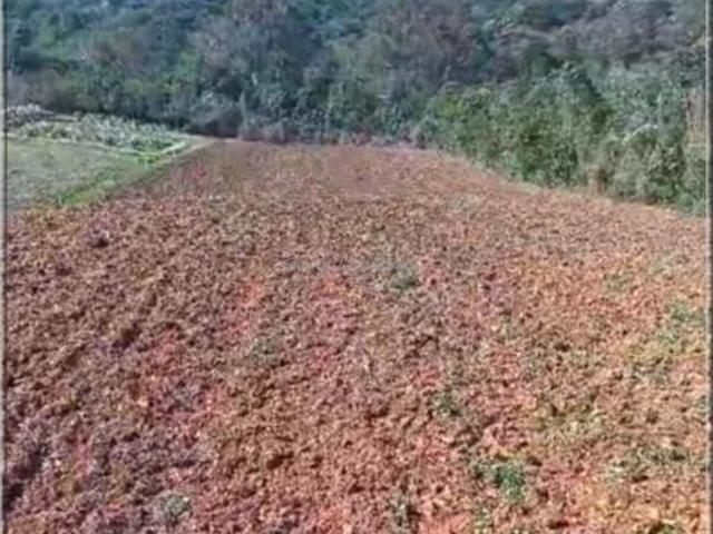 CHÁCARA À VENDA EM SÃO JOSÉ DOS PINHAIS – CAMPREST