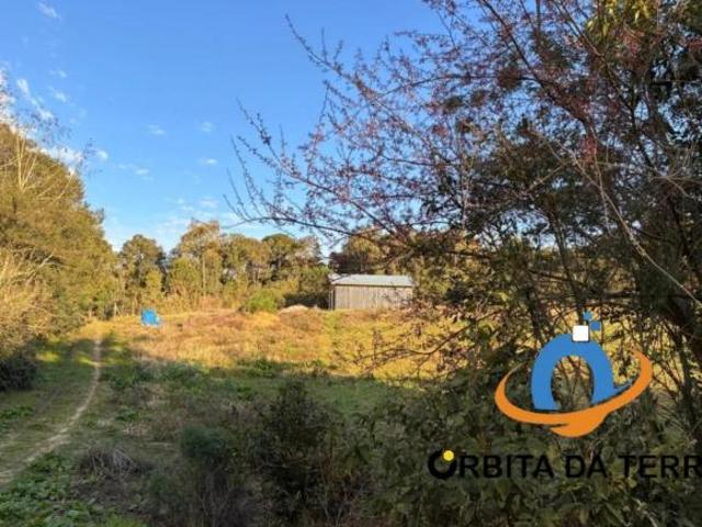 Chácara à venda em São José dos Pinhais PR, bairro Cotia: 3 quartos, 1 sala, 1 banheiro, 6 vagas de