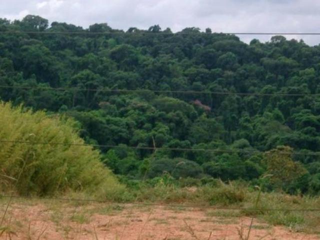 chácara à venda em Sousas