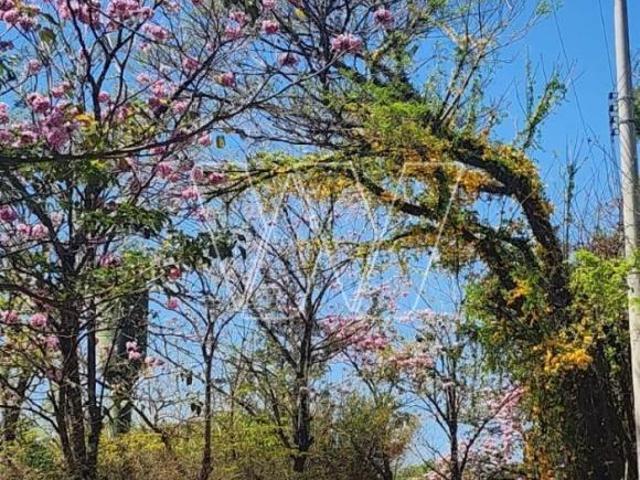 chácara à venda em Sousas