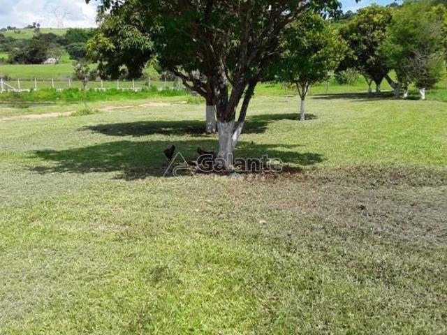 chácara à venda em Sousas