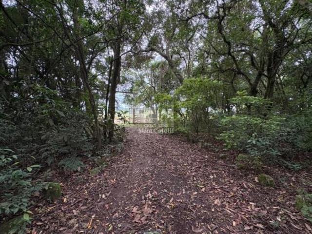 Chácara à Venda em Santo Antônio da Patrulha RS