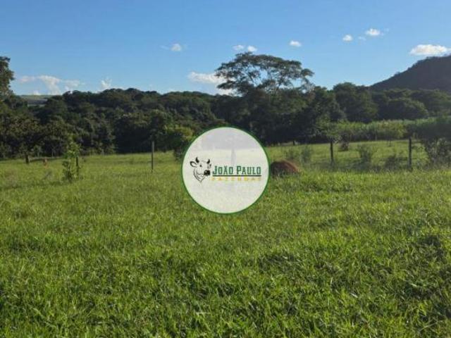 Chácara a venda em Ponte Alta DF 5 HECTARES Casa Da para criar gado