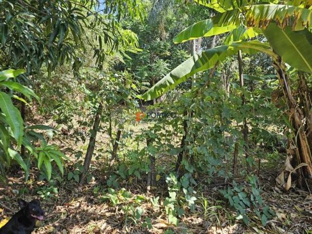 Chácara à venda em Paulínia, São Paulo