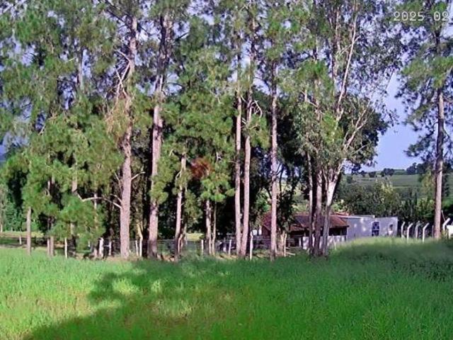 Chácara à venda em Pardinho
