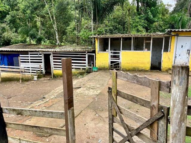 Chácara à Venda em Pedra Bela SP com Escritura!