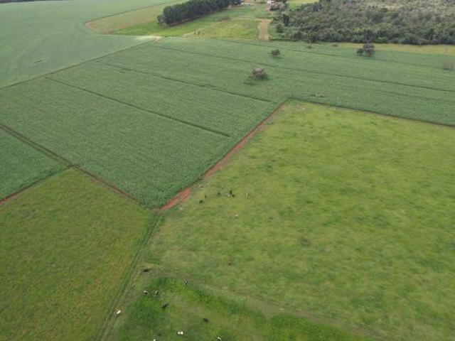 Chácara à venda em Piracanjuba GO: o refúgio perfeito na Zona Rural!