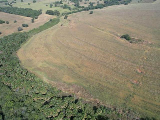 Chácara à venda em Piracanjuba GO: o refúgio perfeito na Zona Rural!