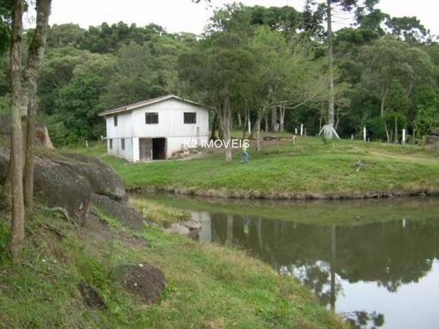 Chácara à venda em Quatro Barras, Borda do Campo, com 2 quartos, 338800,00m²